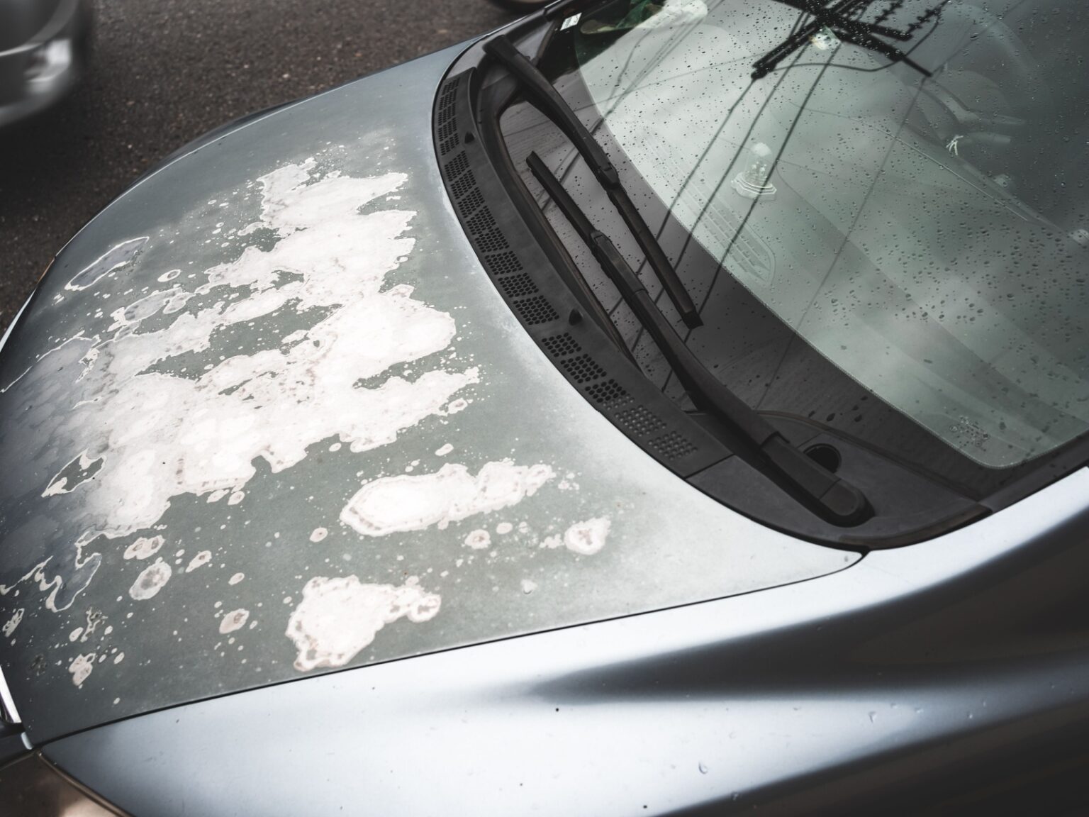 Xenon Arc Testing Labs