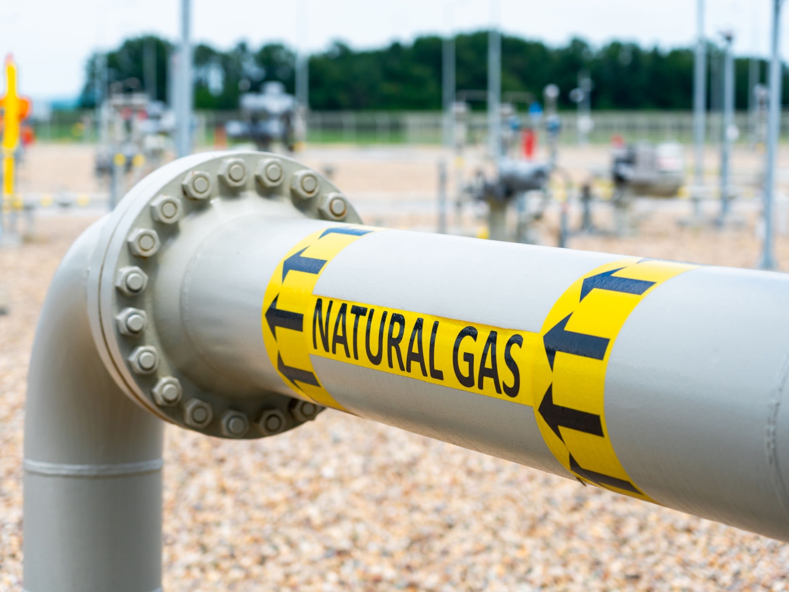 Natural Gas Leak Detection Services